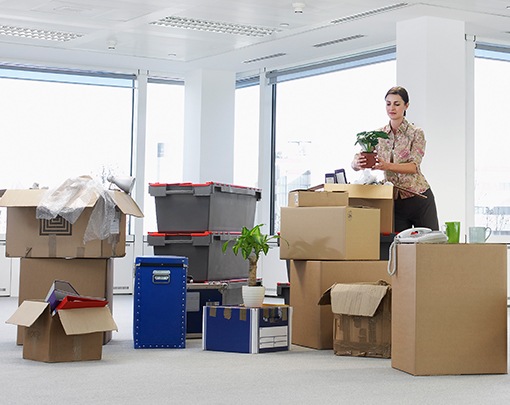Va Moving Companies 🏡 2026 May